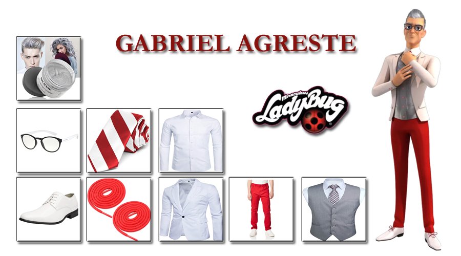 GABRIEL AGRESTE COSTUME FROM MIRACULOUS LADYBUG
