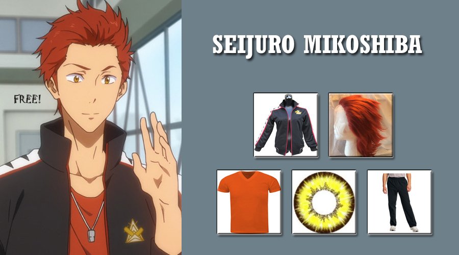 Seijuro Mikoshiba Ewiger Sommer Freies! Iwatobi Club Rin Matsuoka