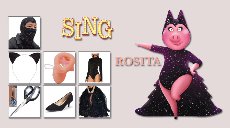 HAVE YOUR OWN ROSITA COSTUME FROM SING