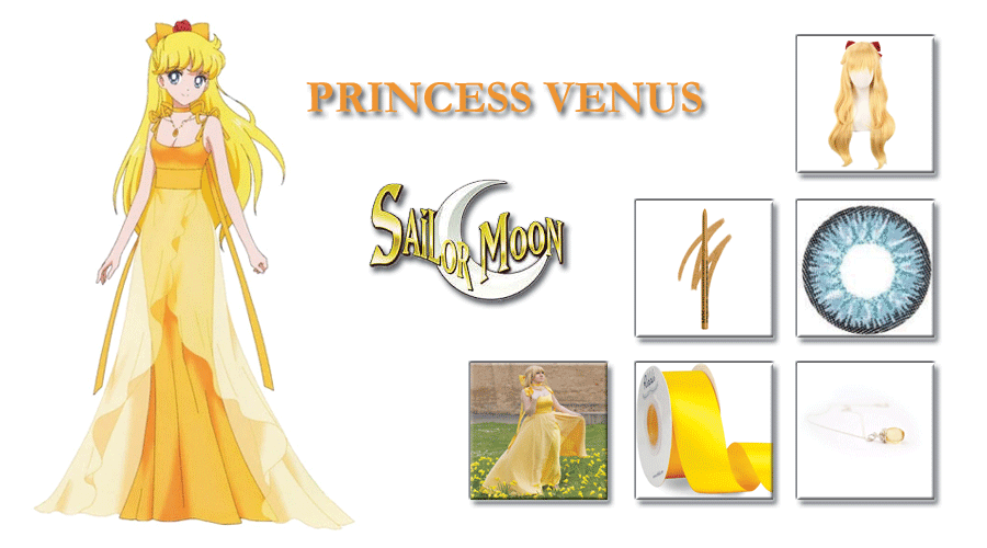 PRINCESS VENUS COSTUME FROM SAILOR MOON